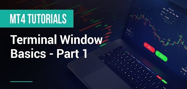 Xm Mt4 Tutorials Terminal Window Basics Part 1 Likerebateforex